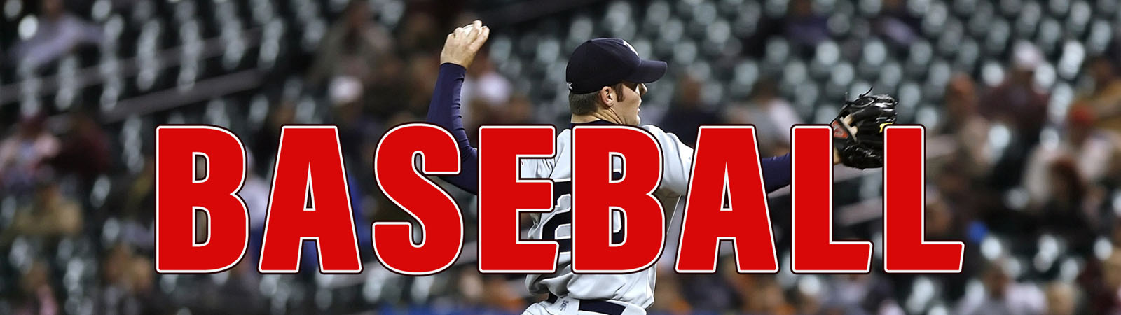 Cubs and Red Sox vs. Atlanta Braves (2026) | Christian Tours ...