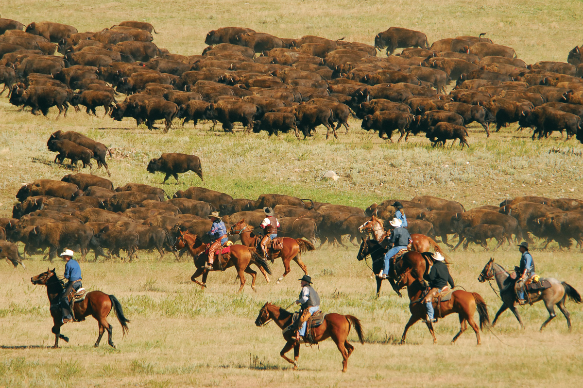 Buffalo Roundup and Frontier Trails (2025) | Christian Tours ...