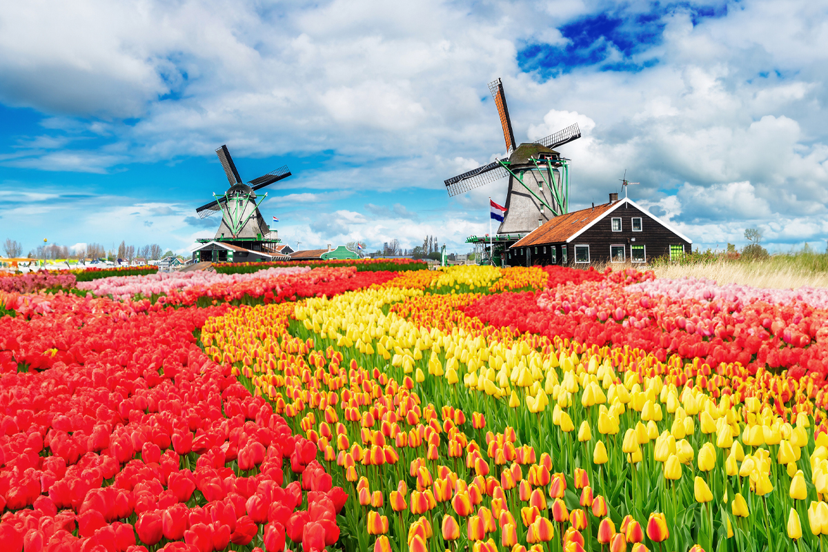 Tulip Time on the Rhine (2026) | Christian Tours – Motorcoach/Bus ...